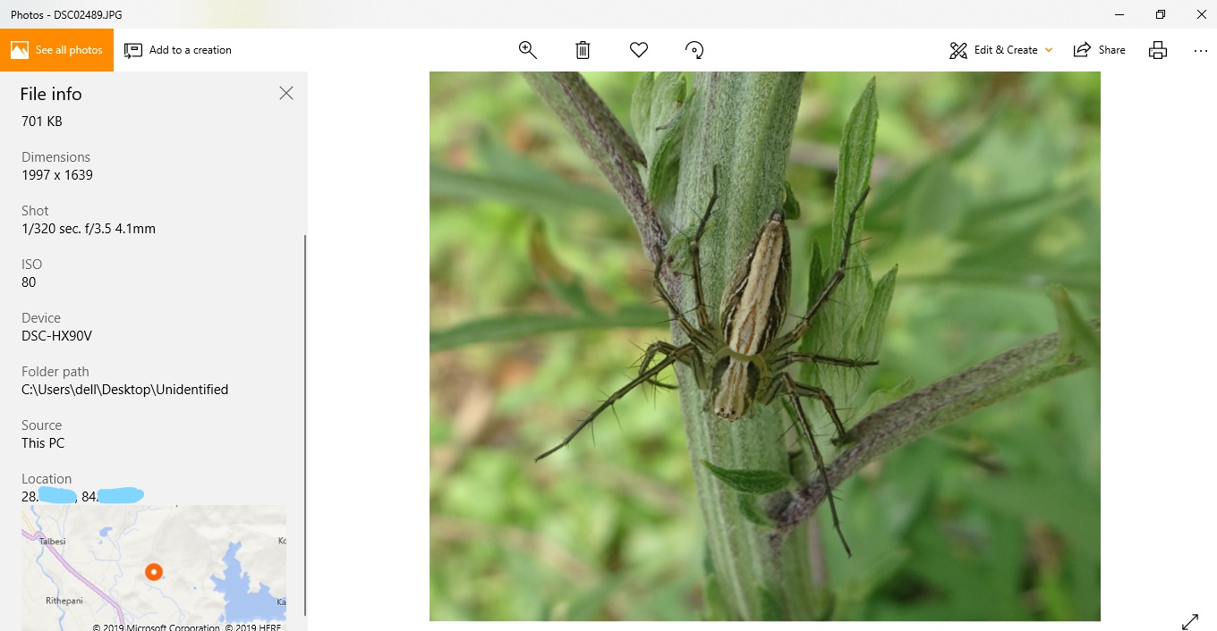 Changing GPS Coordinates Format In Photos